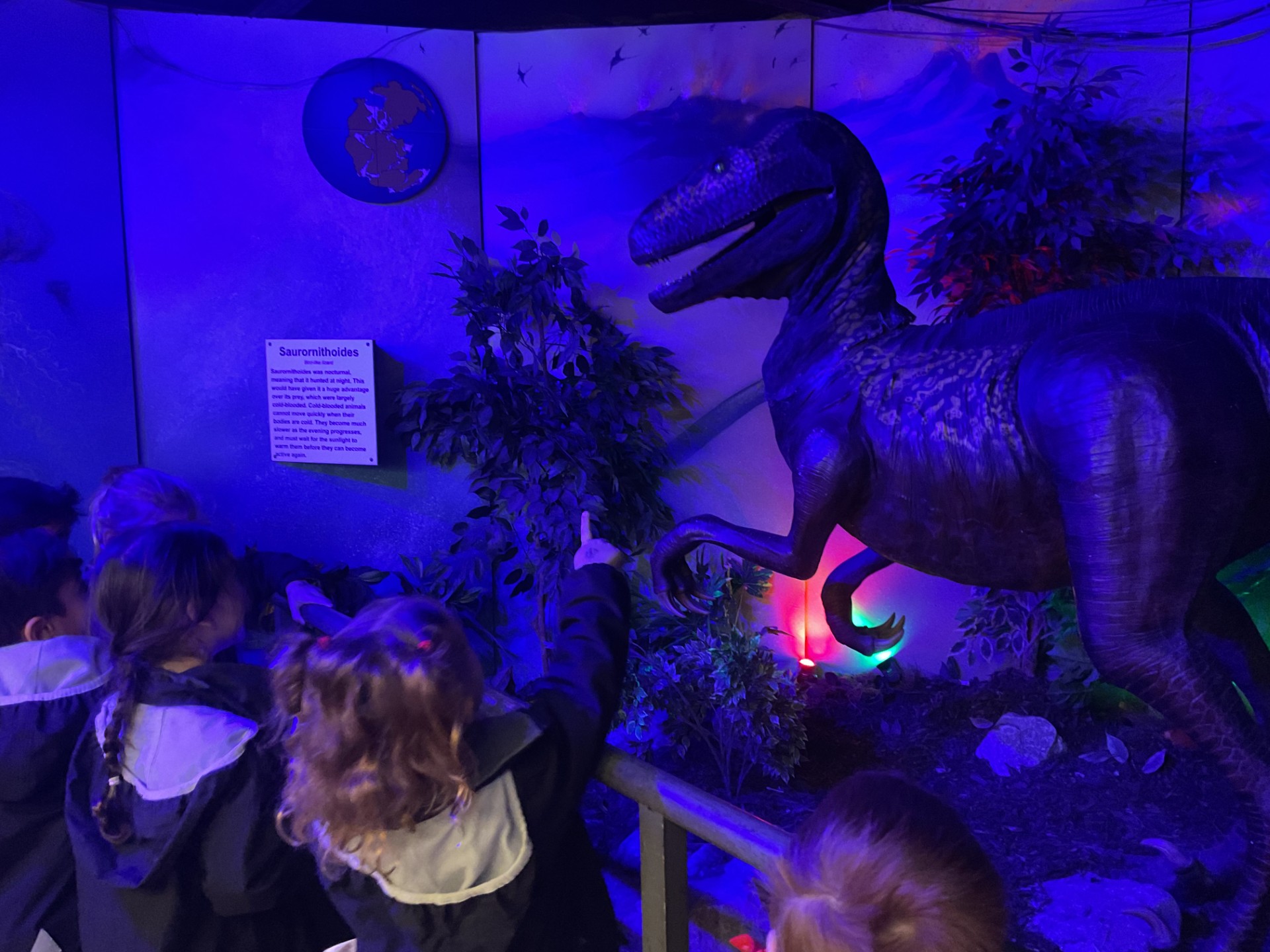 Jurassic Adventures at Paradise Park for Year 1 - Copthorne Prep