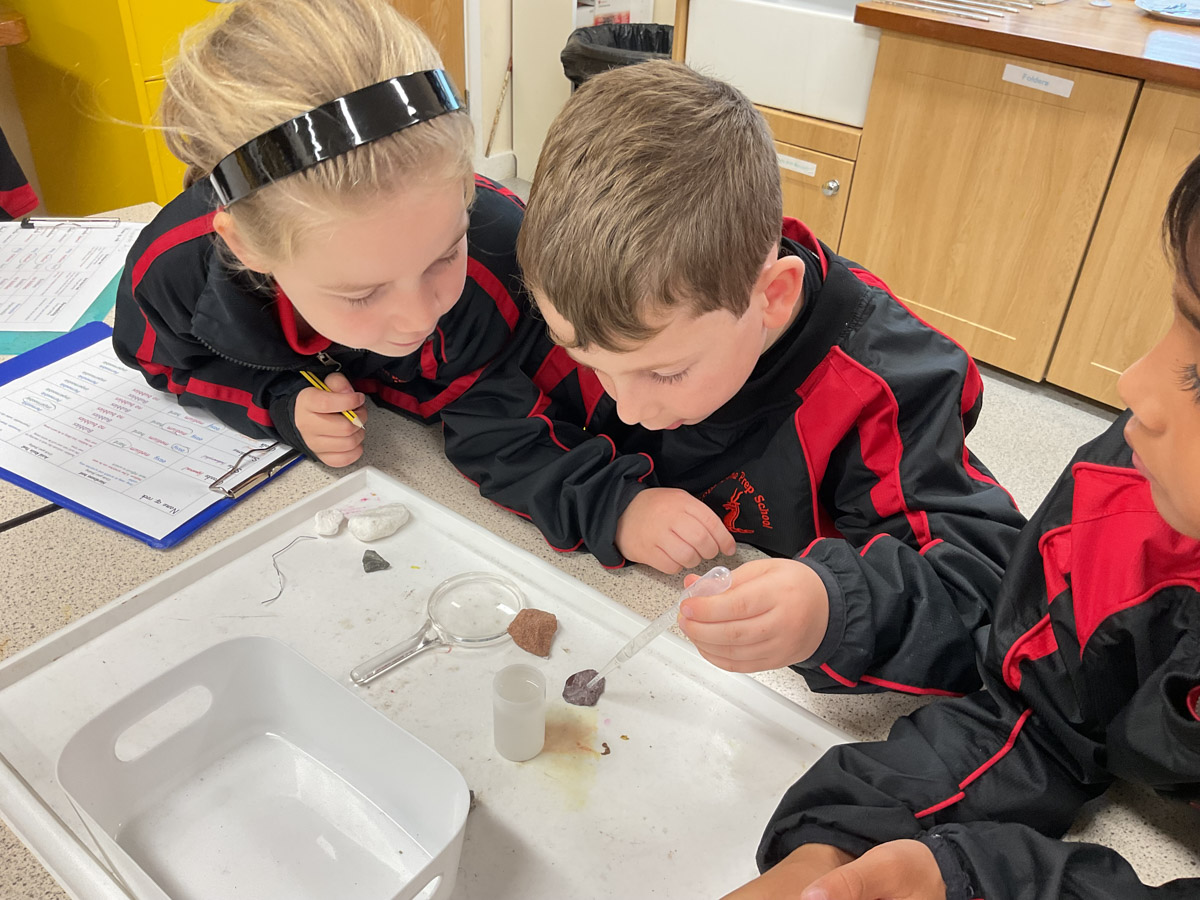Rocking Our Science Lessons! - Copthorne Prep